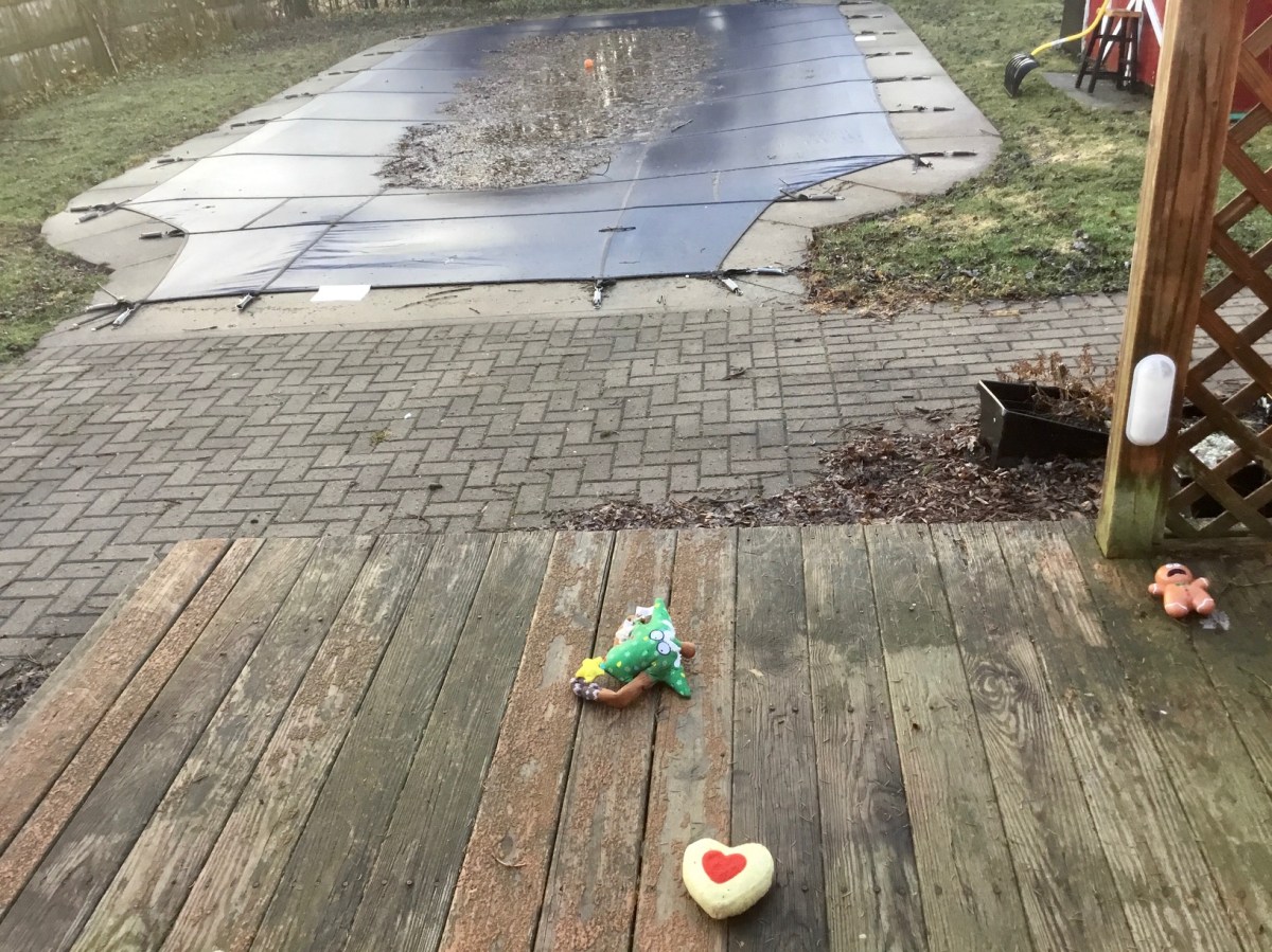 Hello again Ginger toy | Mark Bialczak