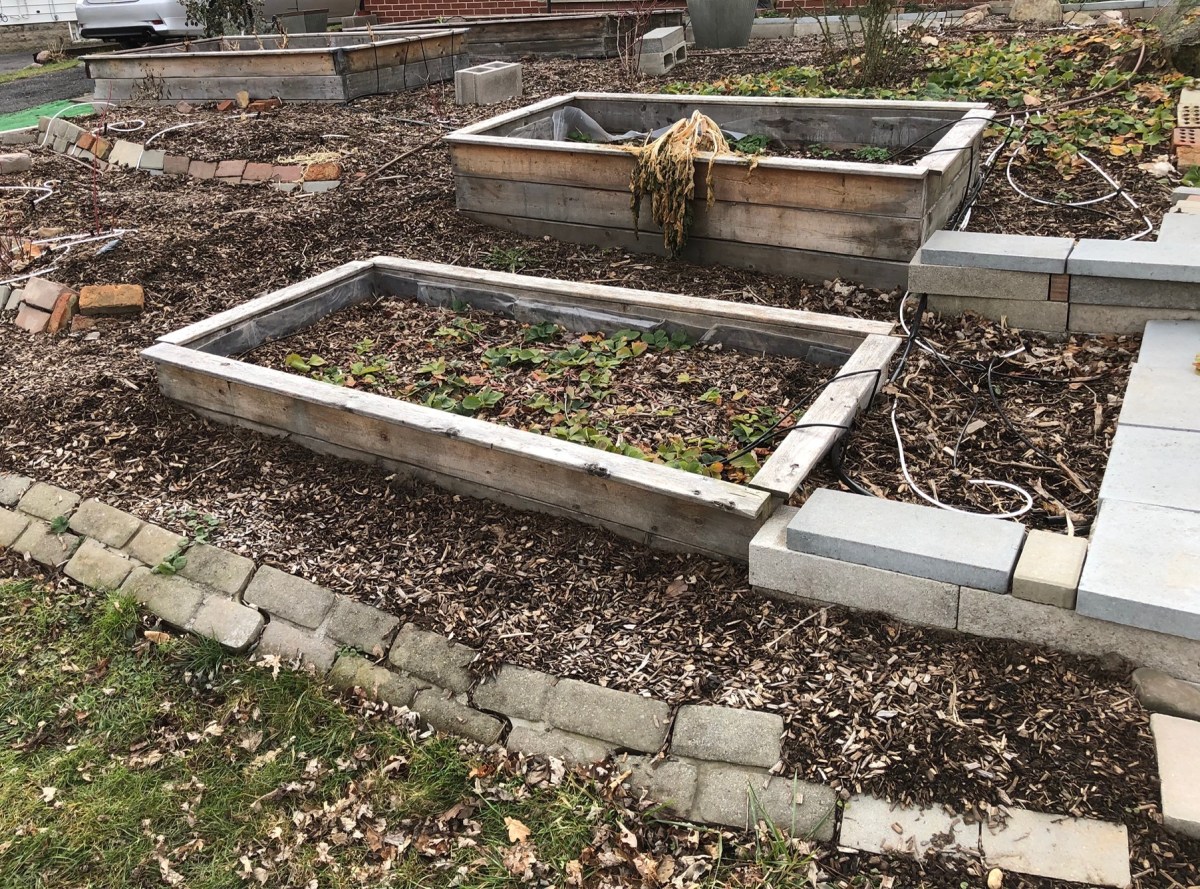 Fallow time | Mark Bialczak