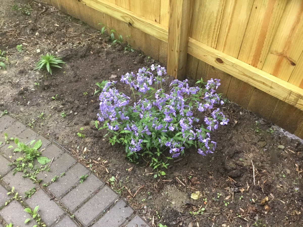 Happy transfer | Mark Bialczak